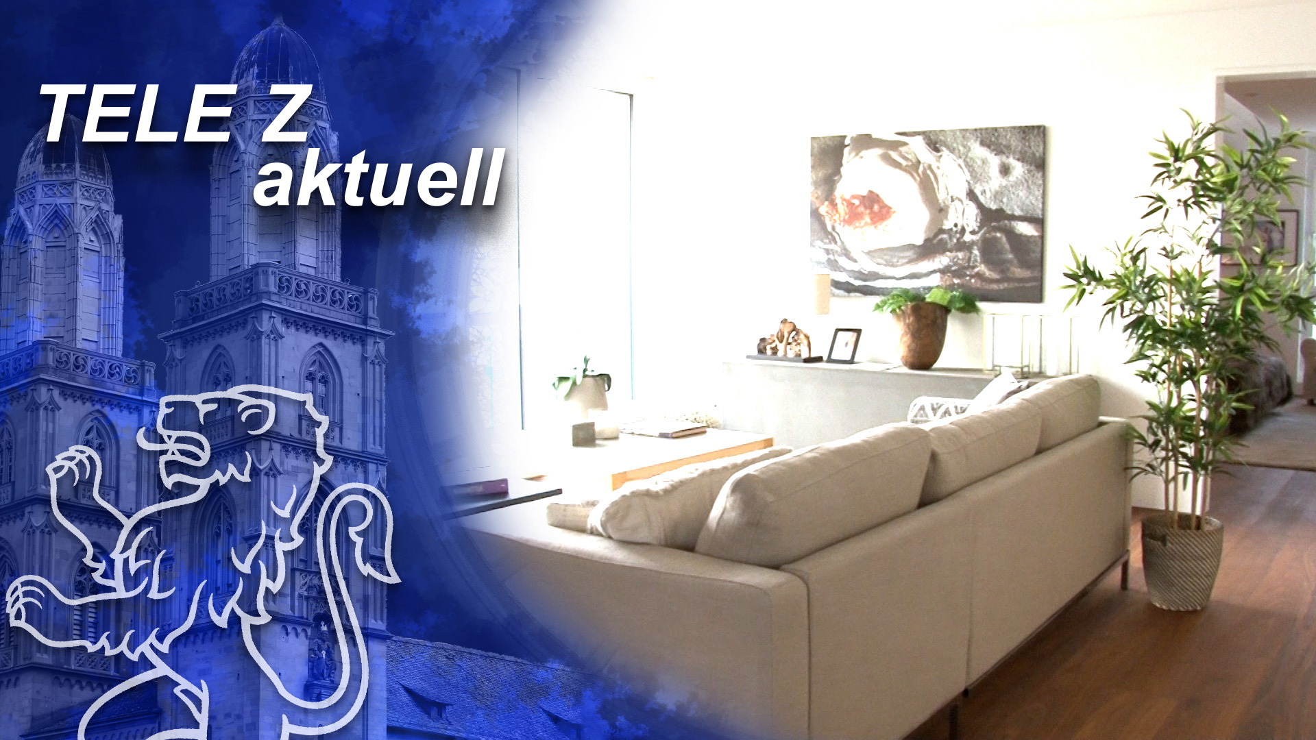 Tele Z - Aktuell Beitrag: Kantonsrat: Steigende Bodenpreise sollen auch ...