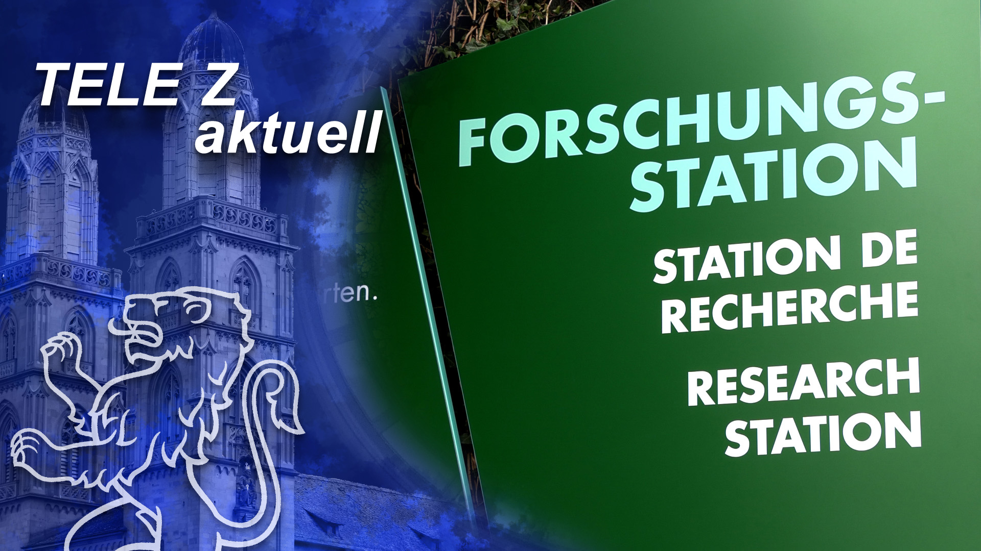 Tele Z - Aktuell Beitrag: Stadt Zürich: Zoo Zürich stellt neue ...